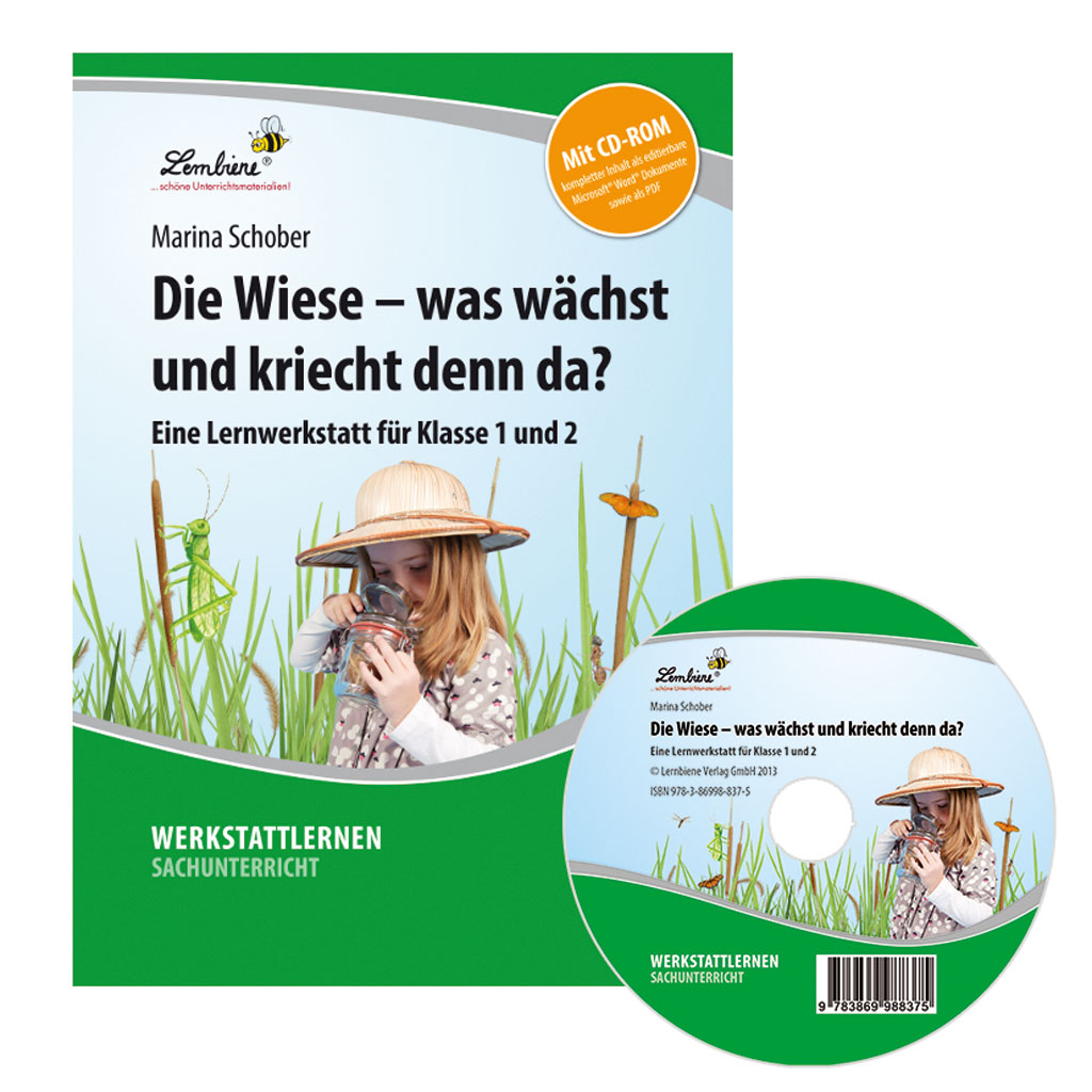 Lernbiene® Wiese erforschen | Wiemann Lehrmittel